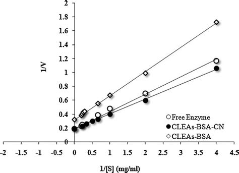 Lineweaver Burk Plot For Kinetic Constant Determination Of Free And