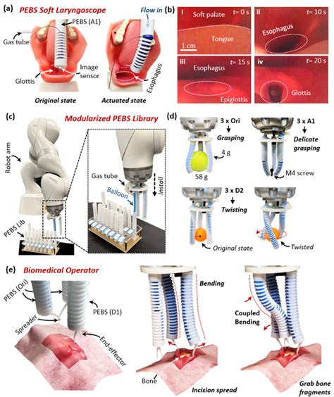 We Are Thrilled To Share Our Work Lightweight Pneumatically Elastic Backbone Structure With