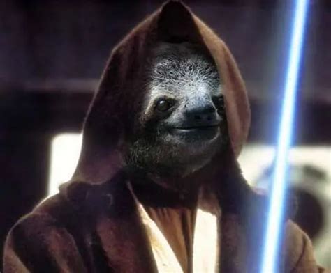 Luke Slothwalker Scrolller