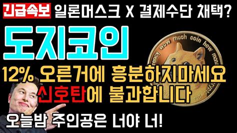 도지코인 전망 일론머스크 X 결제수단 채택 진짜 호재가 터져나오는구나 이 기회 절대 놓치지마세요 Youtube