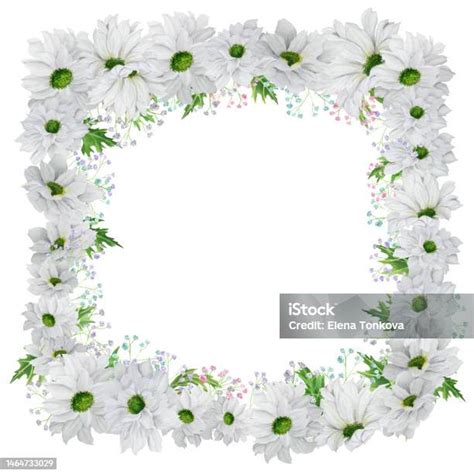 손으로 그린 수채화 사각형 프레임과 흰색 국화 컬러 석고 0명에 대한 스톡 벡터 아트 및 기타 이미지 0명 공휴일 구도