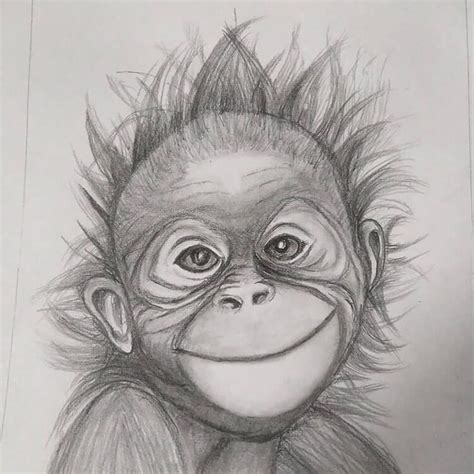 Realistic Chimpanzee Drawing Easy Comicstat