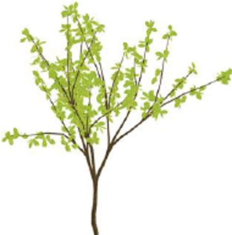 Experiment Result Of Tree 2 Download Scientific Diagram