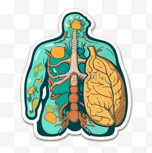 带有人体图像的贴纸显示和 向量素材图片免费下载 千库网
