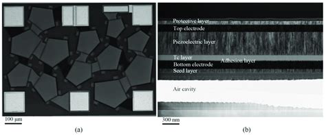 A Top View Of The Tc Fbar B Tem Diagram Of The Tc Fbar Download Scientific Diagram