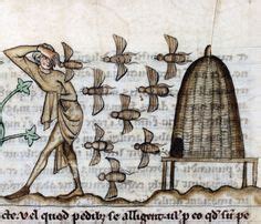 76 Illumination Butterflies And Bees Ideas Illuminated Manuscript