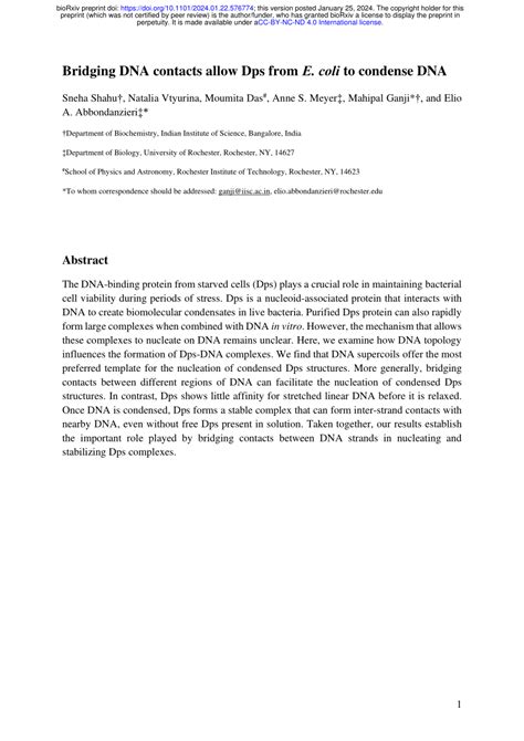 Pdf Bridging Dna Contacts Allow Dps From E Coli To Condense Dna