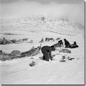 Caribou And People Gates Of The Arctic National Park And Preserve Us