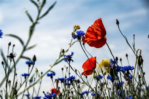 clarity ai gist impact team to develop biodiversity impact assessment