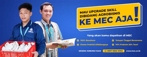 Budidaya Cabe Rawit Dari Persiapan Hingga Panen