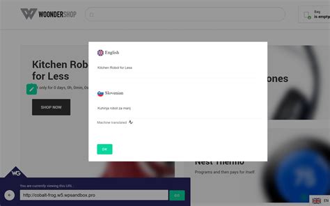 How To Translate Your Website With A Wordpress Multi Language Plugin