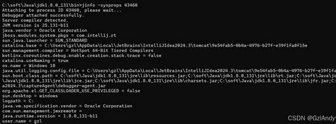 jvm调优工具 csdn博客