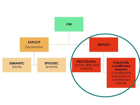 memory long term memory ppt download