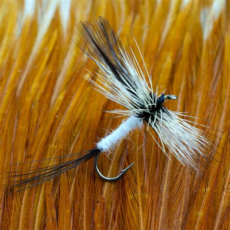 Coffin Fly Dette Flies