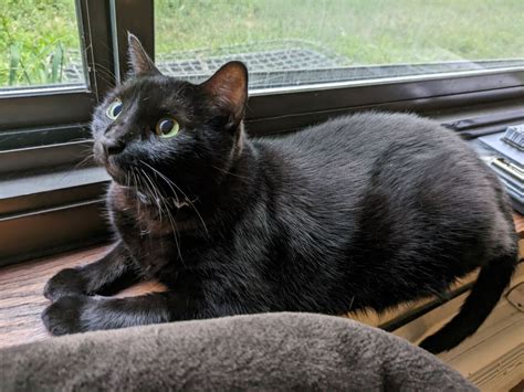 Some Guy Guy Masto Ai Mastodon