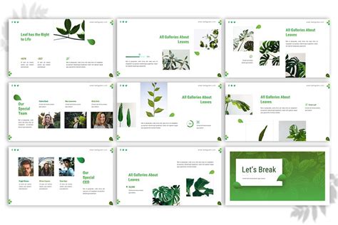 دانلود تم پاورپوینت کشاورزی Leafy Powerpoint Template تایم کد