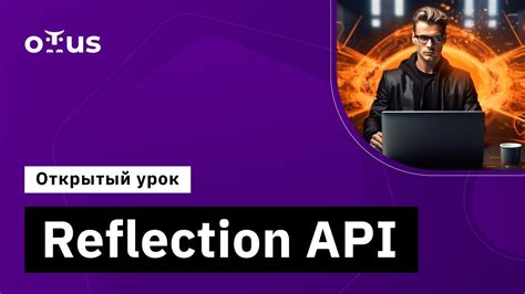 Reflection Api Демо занятие курса Java Developer Professional