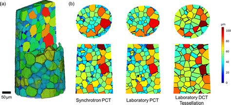 Non Destructive Representation Of Grain Morphology By A Virtual Slice Download Scientific