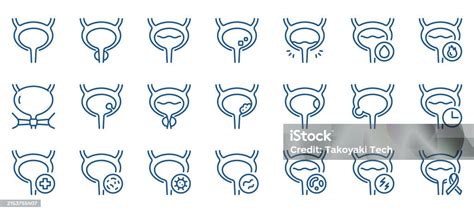 Urinary Bladder Conditions Icon Set Linear Icons Of Various Bladder Conditions And Symptoms