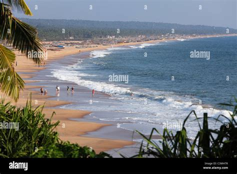 India South India Kerala Malabar Coast View Of Somatheeram Beach