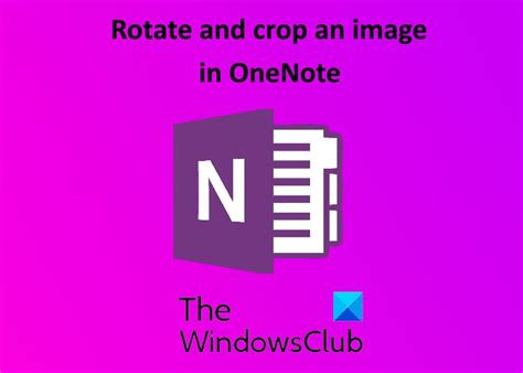 Rotate And Crop Images In Microsoft Onenote