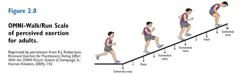 Foundations Of Physical Activity And Public Health 9781492589976