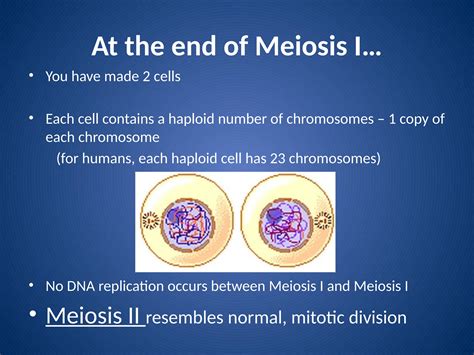Science Cell Division Mitosis Meiosis Ppt Pptx