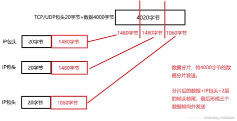 网络信息安全（ip包头分析、arp协议、vlan）vlan包头 Csdn博客