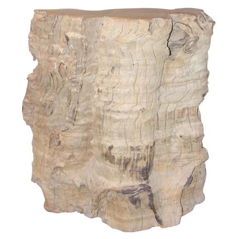 Teak Stump Sculpture Teak Sculpture Stumped
