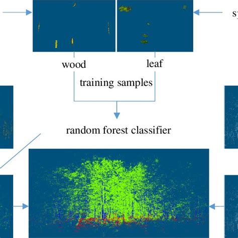 Diagram Of The 3d Classification Method Using The Rfc And Ground