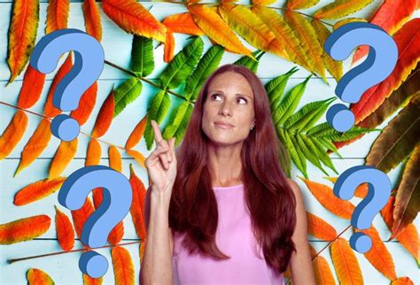 Falevél Kvíz Hány őszi Levélről Találjuk El Milyen Fáé