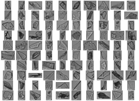 Tc Detection Of Ice Core Particles Via Deep Neural Networks