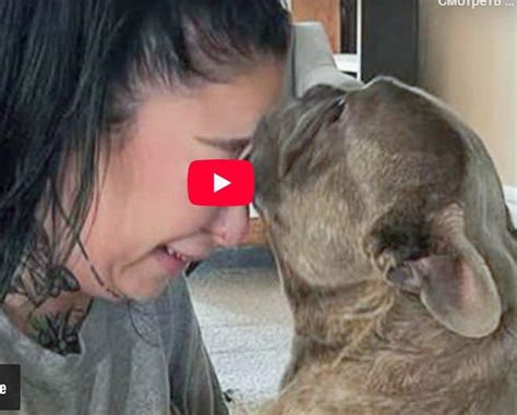 პოპულარული 🐾 რამდენად შორს წახვალთ თქვენი საუკეთესო მეგობრის სახლში დასაბრუნებლად 🐶💔 იასმინმა