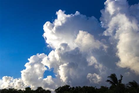 Explosive Cloud Formation Cumulus Clouds In The Sky In Mexico Stock