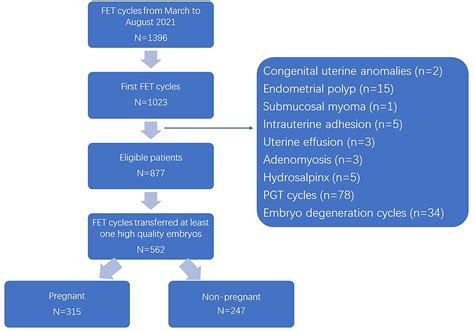 Uterine Lining Thickness And Pattern For Implantation Uterine Lining