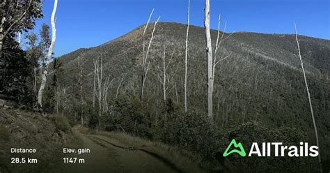 The Twins Track Victoria Australia 11 Reviews Map Alltrails