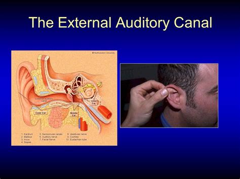بسم الله الرحمن الرحيم Ppt Video Online Download