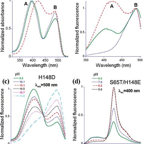 Normalized Absorbance Excitation And Emission Spectra A Absorbance