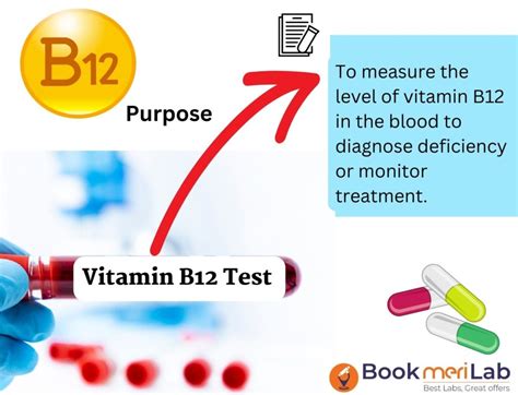 Vitamin B12 Test Price Purpose Results And Normal Range