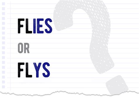 Flies Or Flys Which Form Is Correct What Is The Difference
