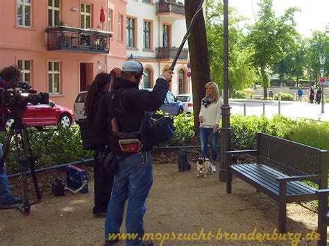 Der Mops Loriot Waldmöpse Mopszucht Vom Weiberhof Mopszucht Vom Weiberhof