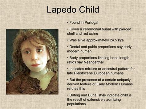 Multiregional Evolution Katina Ppt
