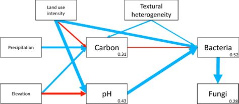 Structural Equation Model Showing The Significant Impact Of Textural