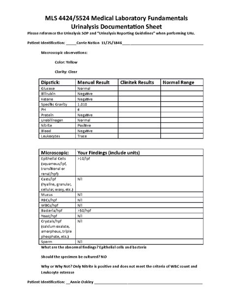 Urinalysis Documentation Sheet Patient Identification Nation