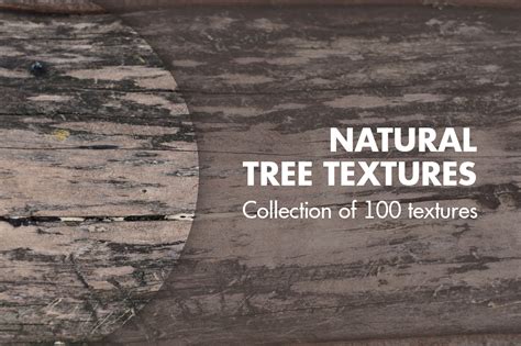 Natural Tree Photoshop Textures Premium Collection