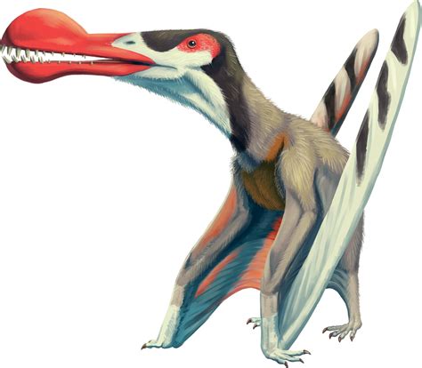 Walking With Dinosaurs Rhamphorhynchus 28 Rhamphorhynchus Stock
