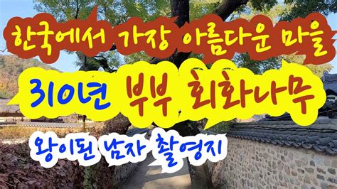 한국에서 가장 아름다운 마을 310년 부부 회화나무 남사예담촌 Youtube