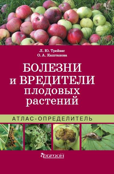 Болезни и вредители плодовых растений: Атлас-определитель | Фитон XXI