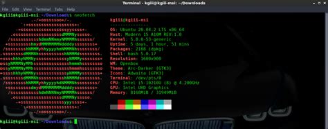 A Few Ways To Determine Which Distro And Version Youre Using • Linux Tips