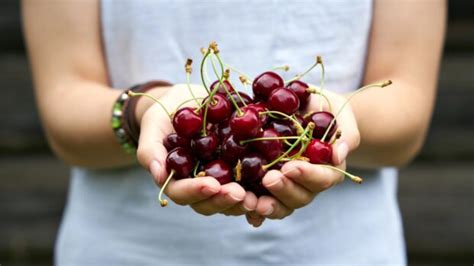 Як вивести плями від вишні прості способи Life